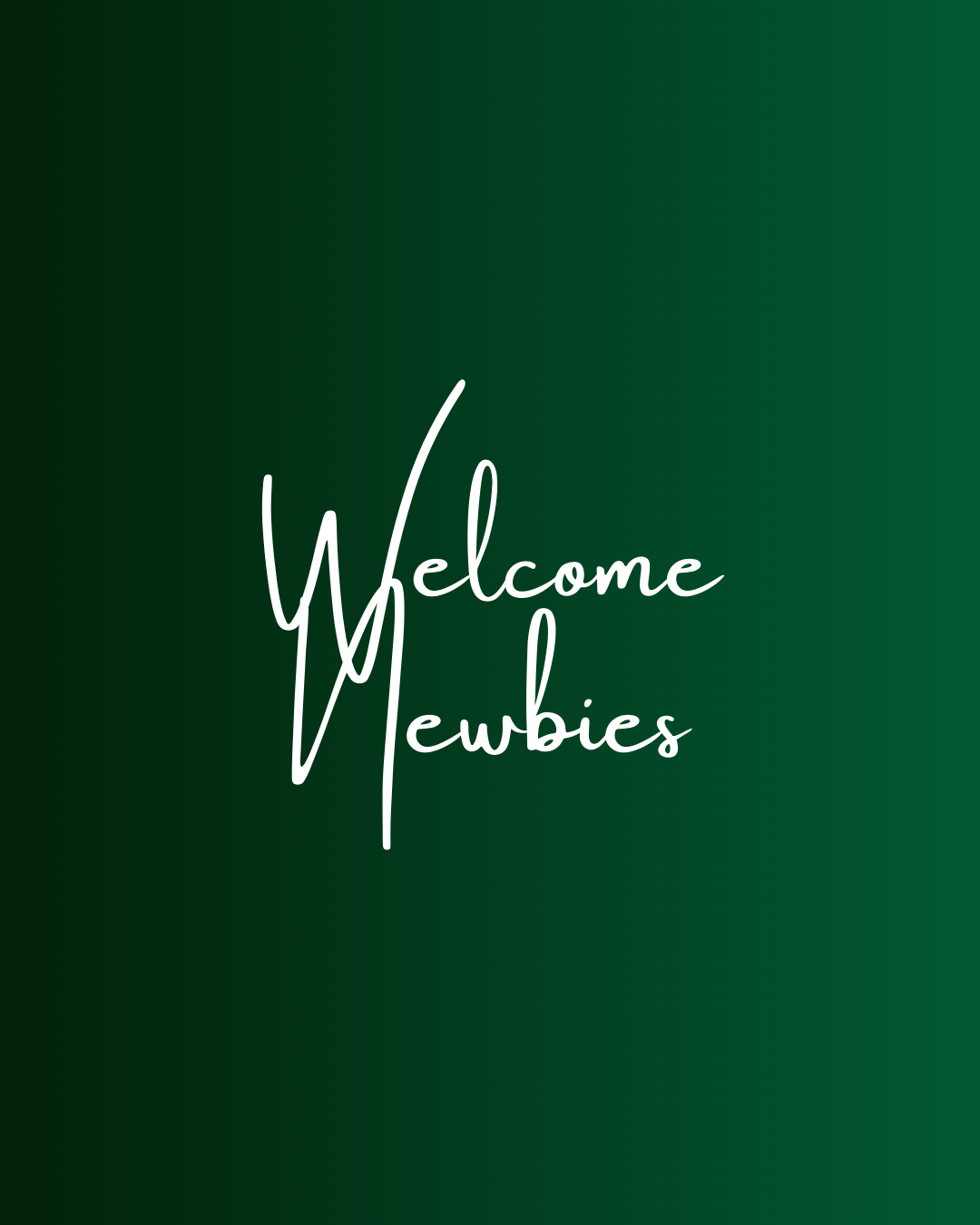 Welcome Newbies – sntjewellery